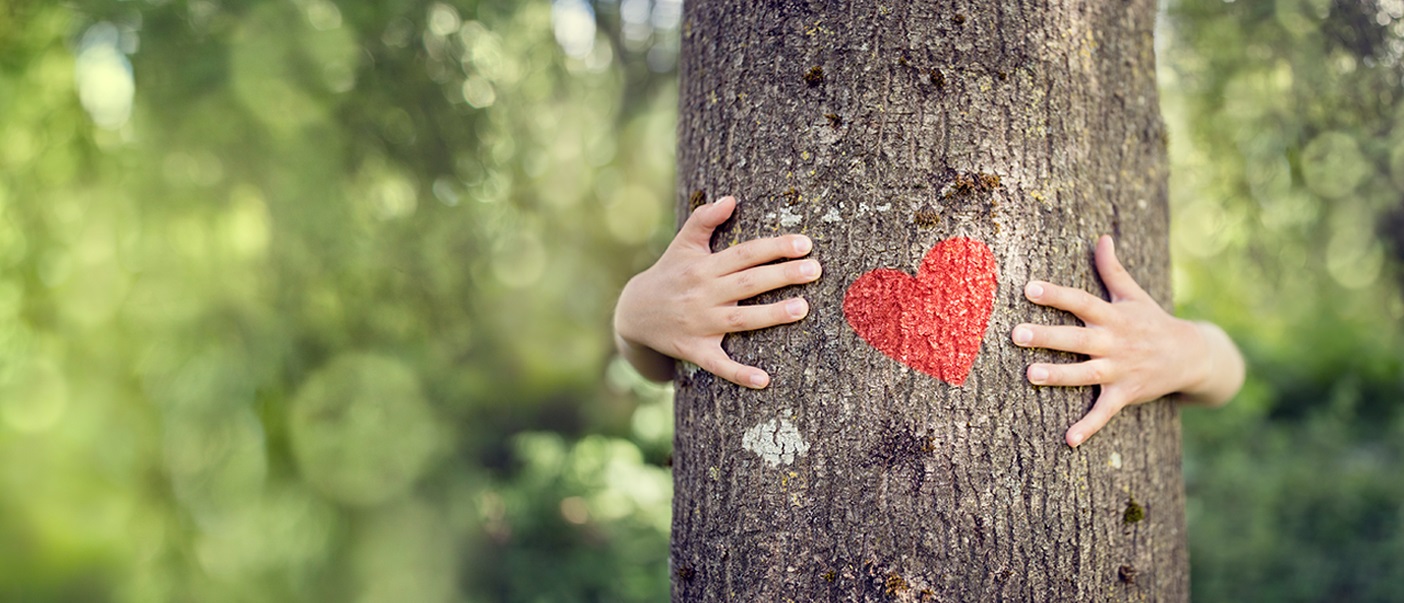 We’re ‘Tree huggers’, so you won’t be receiving a ticket! | Wedding ...